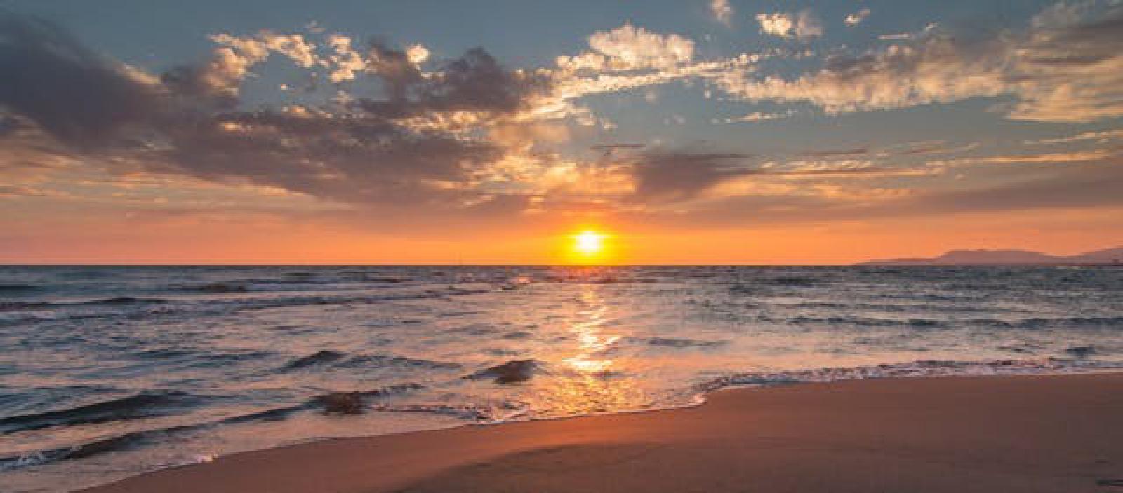 7 Hidden Secrets of ENTP & INFJ Compatibility: The Ultimate Guide